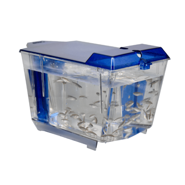 Zebrafish Racks & Housing for Advanced Research | Iwaki Aquatic