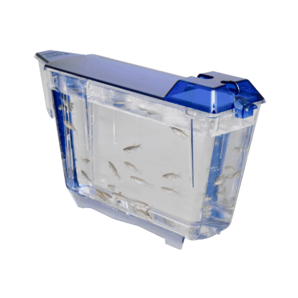 Zebrafish Racks & Housing for Advanced Research | Iwaki Aquatic
