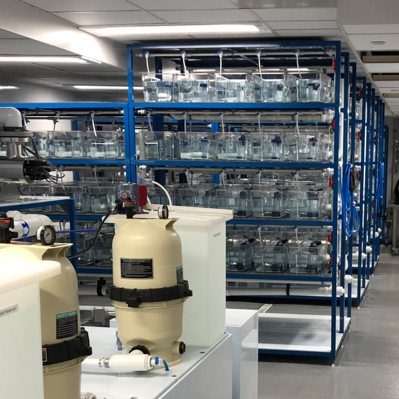 LAbREED® Multi-Rack Systems for Advanced Research | Iwaki Aquatic