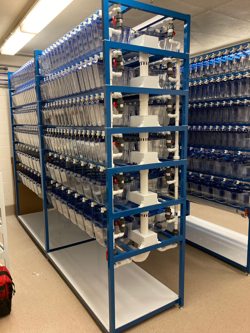 LAbREED® Multi-Rack Systems for Advanced Research | Iwaki Aquatic