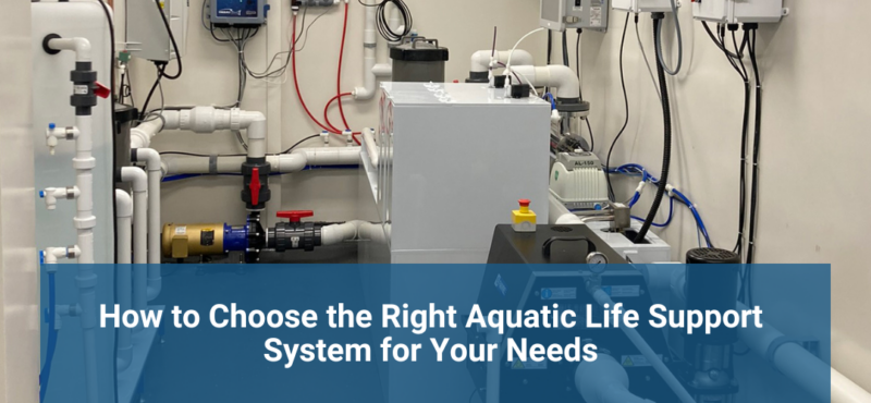 Tips to choose the best Aquatic Life Support System for Your Setup